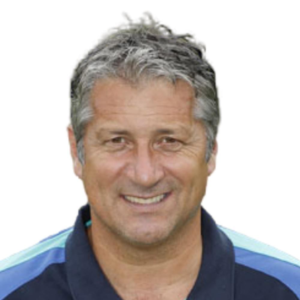 Ruud Brood: Information, teams and honours